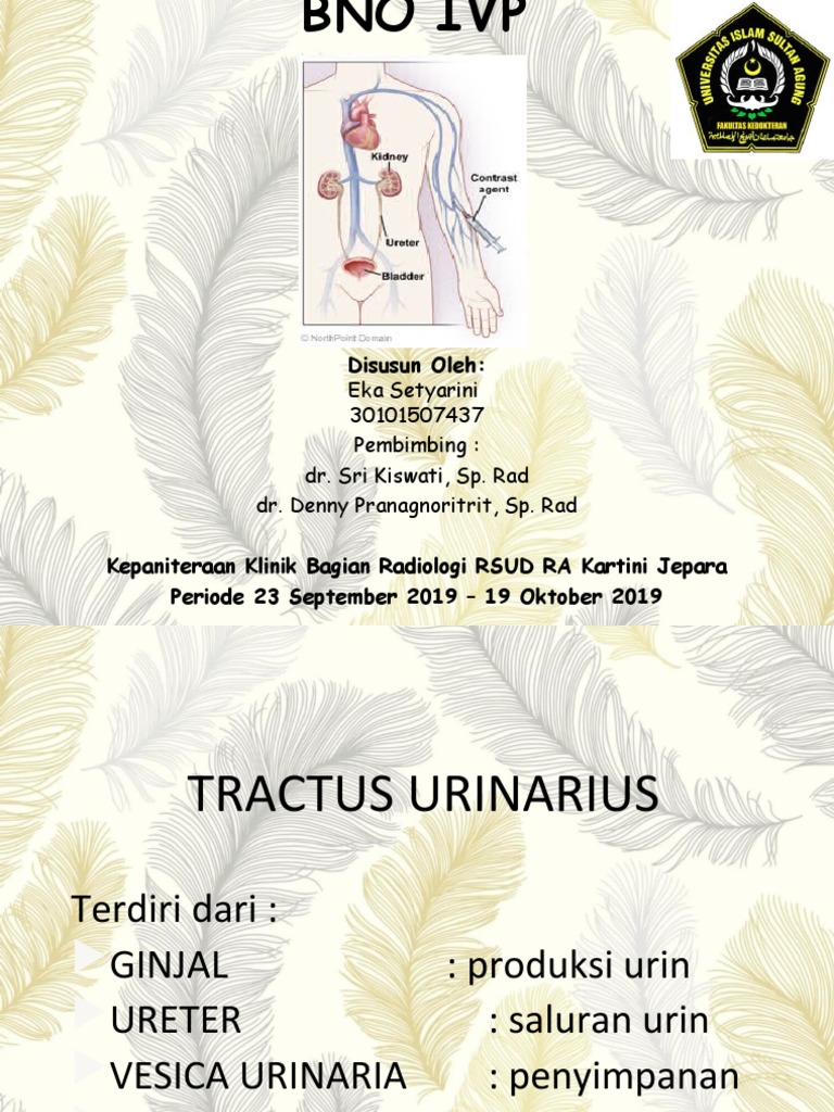 BNO IVP - Ekaa | PDF