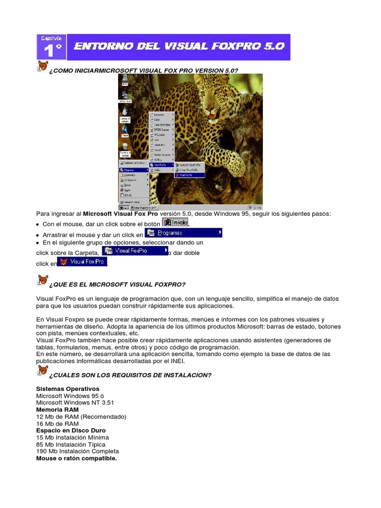 Manual Visual Foxpro | PDF | Archivo de computadora | Microsoft Windows