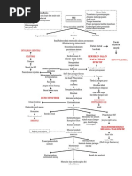 Pathway Patofisiologi TB Paru | PDF