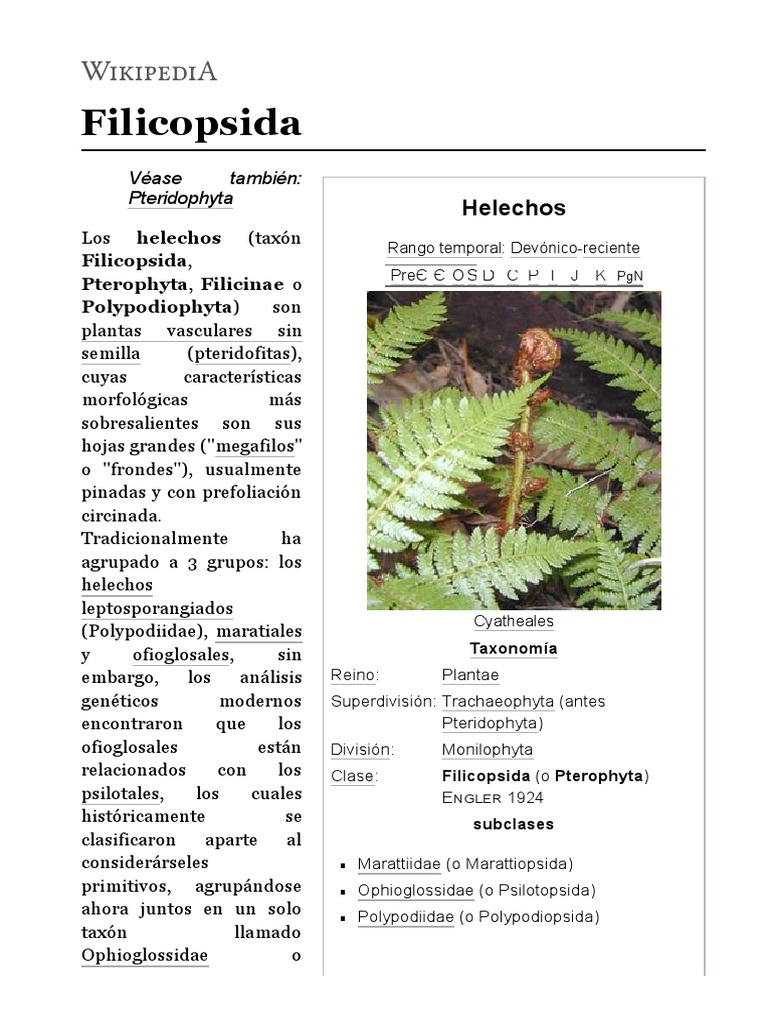Filicopsidas | PDF | Helecho | Organismos
