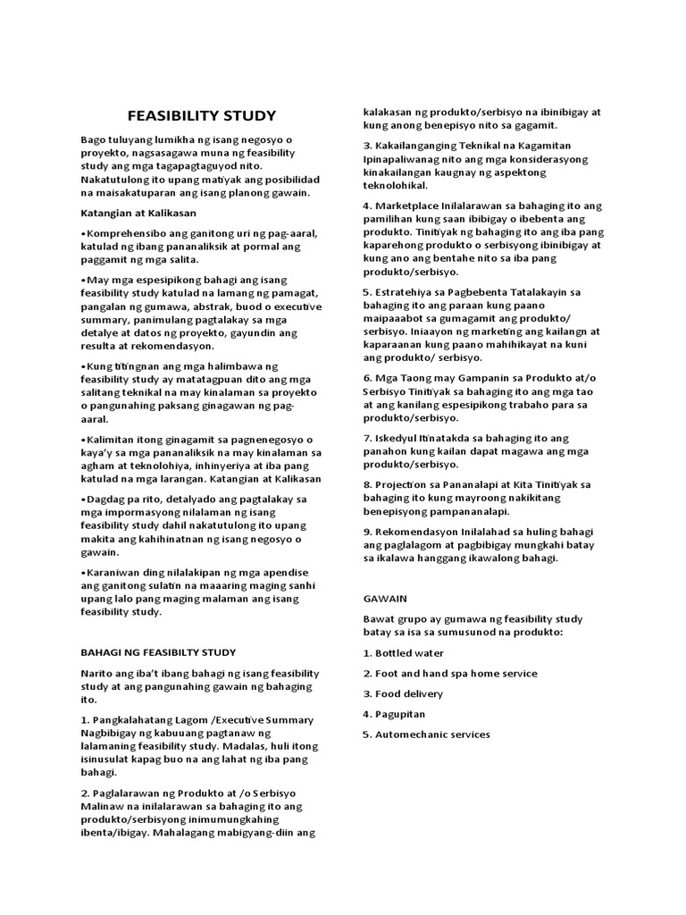 Feasibility Study | PDF