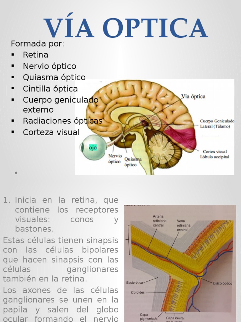Vía Optica | PDF