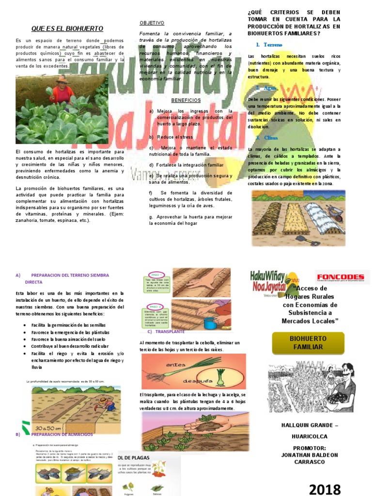 Que Es El Biohuerto | PDF | Vegetales | Alimentos