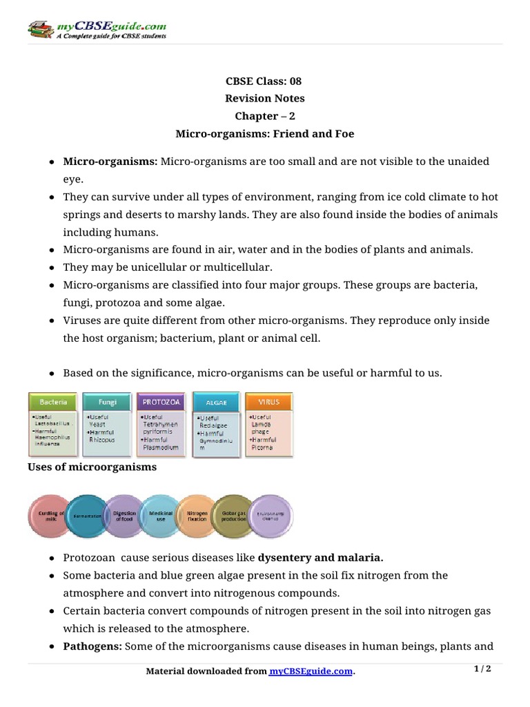 CBSE Class 8 Chap 2 - MICROORGANISMS FRIEND AND AND FOE - Revision ...