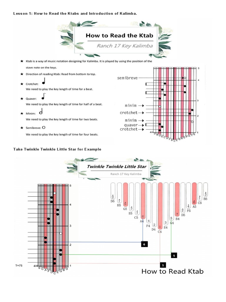 Kalimba Beginner | PDF