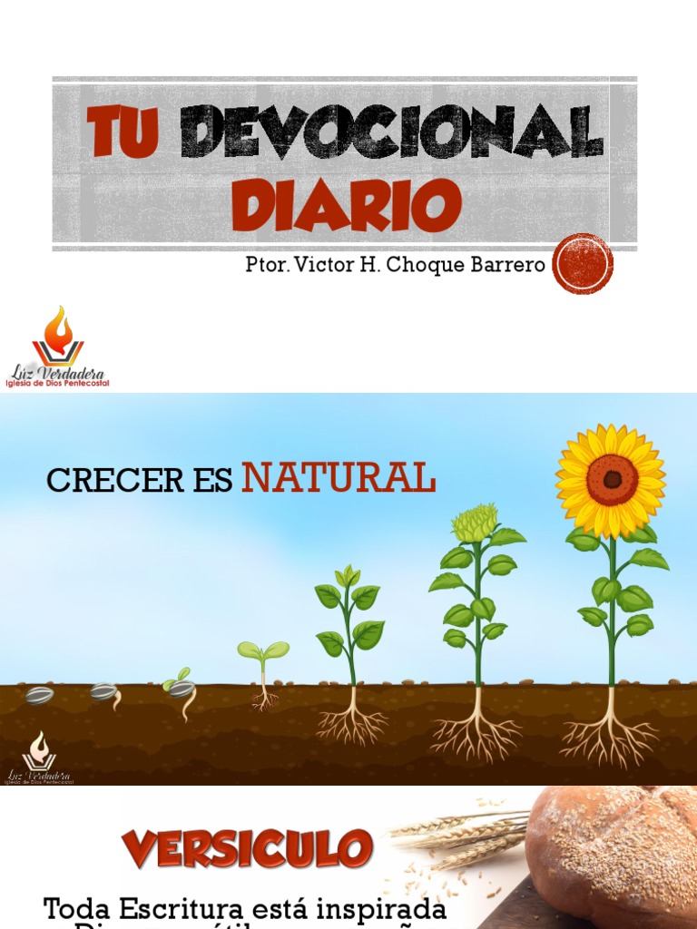 Devocional Diario | PDF