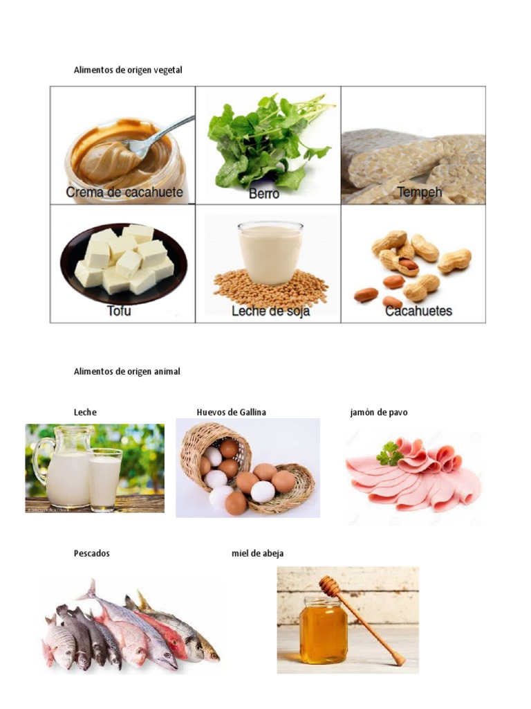 5 Alimentos de Origen Vegetal Y Animal | PDF | Salud y bienestar
