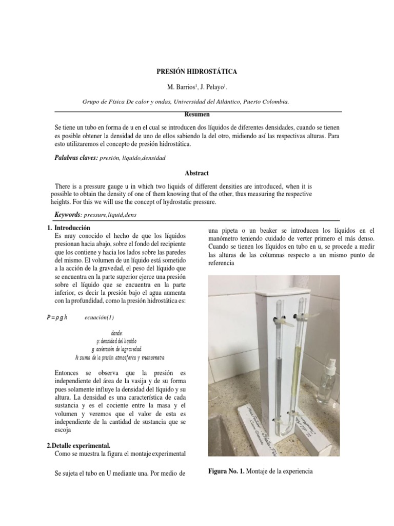 Presión Hidrostática en Experimentos | PDF | Líquidos | Densidad