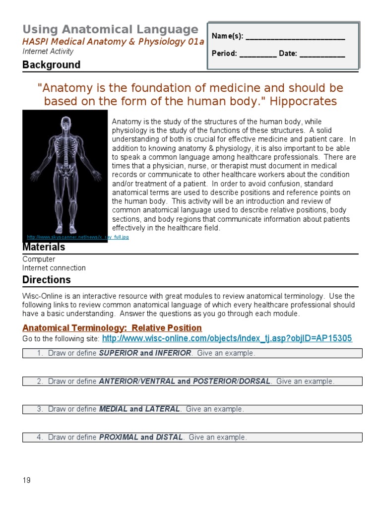 HASPI Using Anatomical Language | PDF | Anatomical Terms Of Location ...