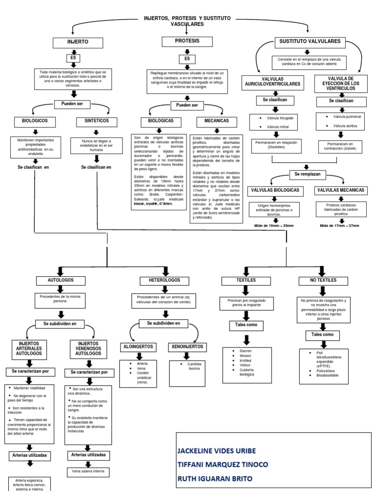 Mapa Conceptual Cardio PDF | Descargar gratis PDF | Válvula del corazón ...