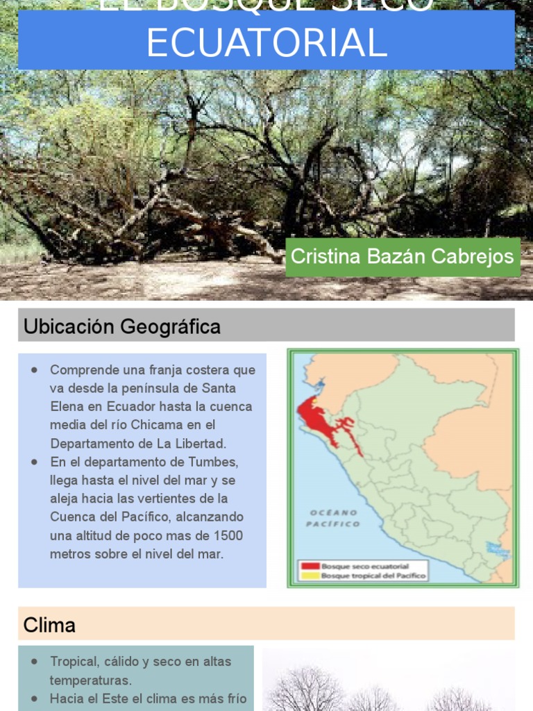 Bosque Seco Ecuatorial (Ciencia) | PDF