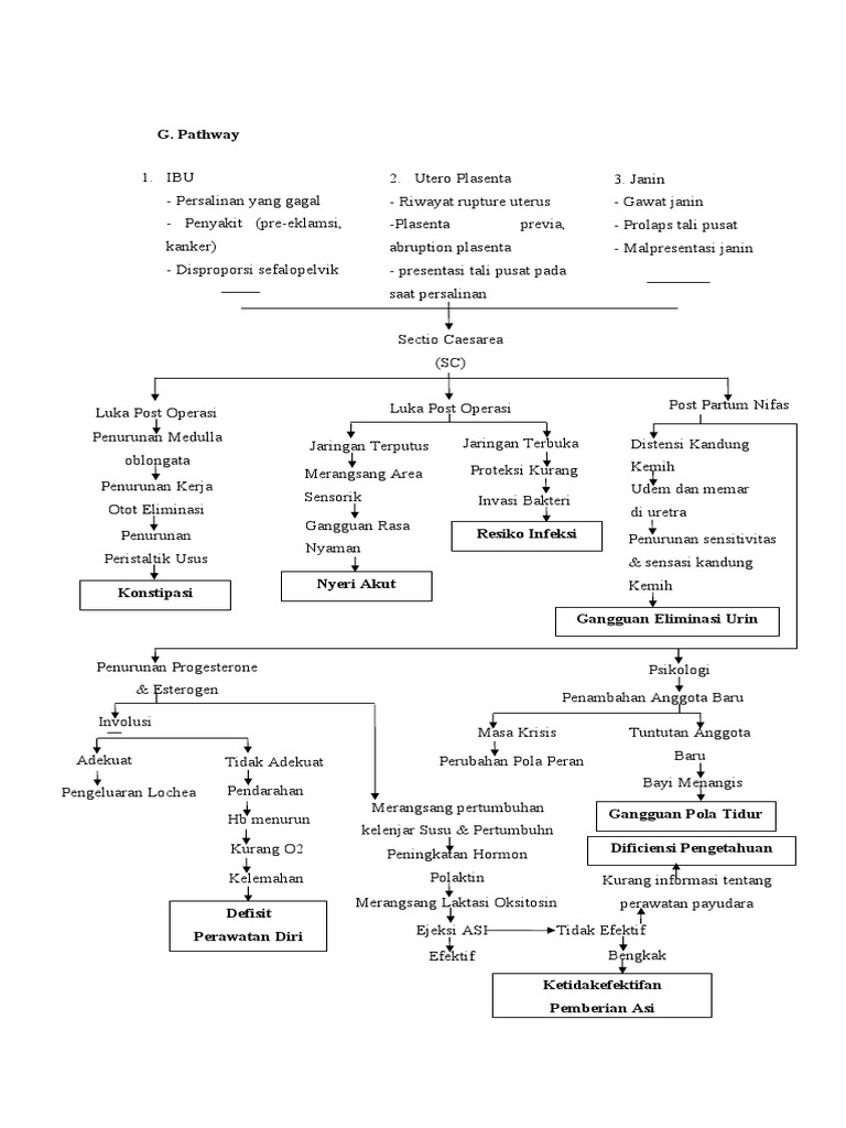 Pathway Perawatan Pasca Persalinan | PDF