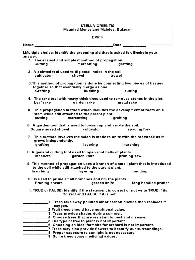 3rd Grading Exam | Download Free PDF | Grafting | Sandwich