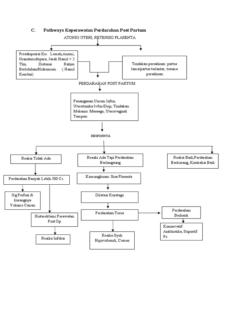 Pathways Keperawatan Perdarahan Post Partum | PDF