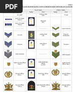 The Pecking Order Poster As A High Resolution | PDF | Military Rank ...