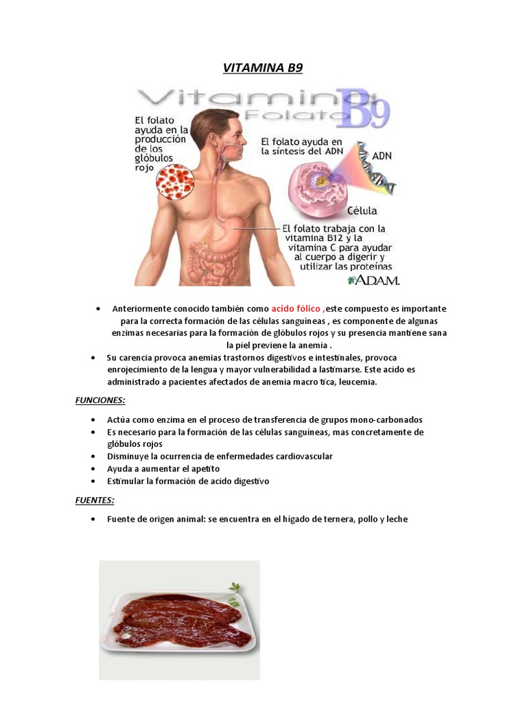 Vitamina B9 | PDF | Medicina CLINICA | Especialidades Medicas