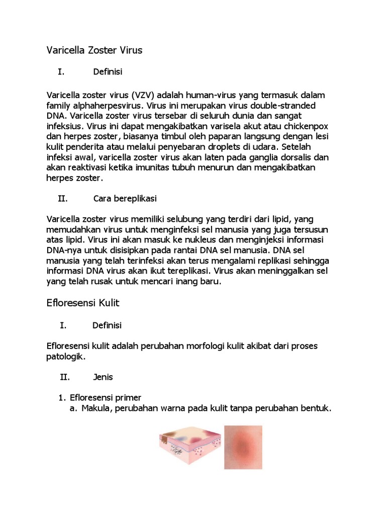 Varicella Zoster Virus | PDF