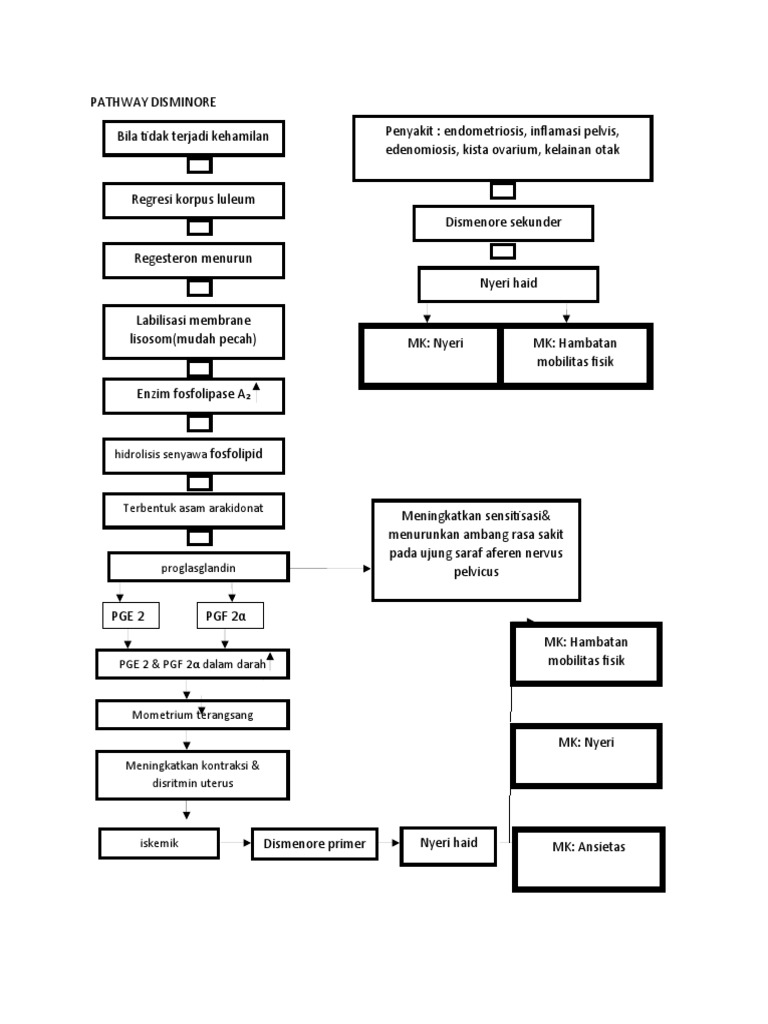 Pathway Disminor | PDF