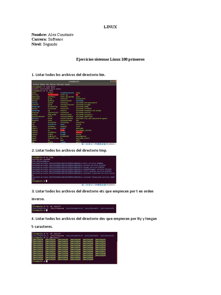100 Ejercicios - Alex Constante | PDF | Sistema de archivos | Archivo ...