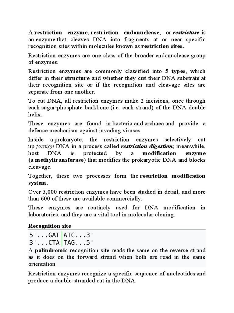 What Are Restriction Enzymes And What Are Their Function?, 57% OFF