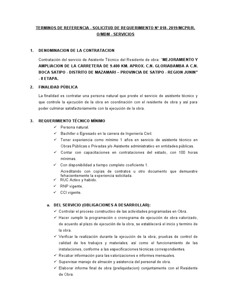 18 TDR Asistente Tecnico | PDF | Business