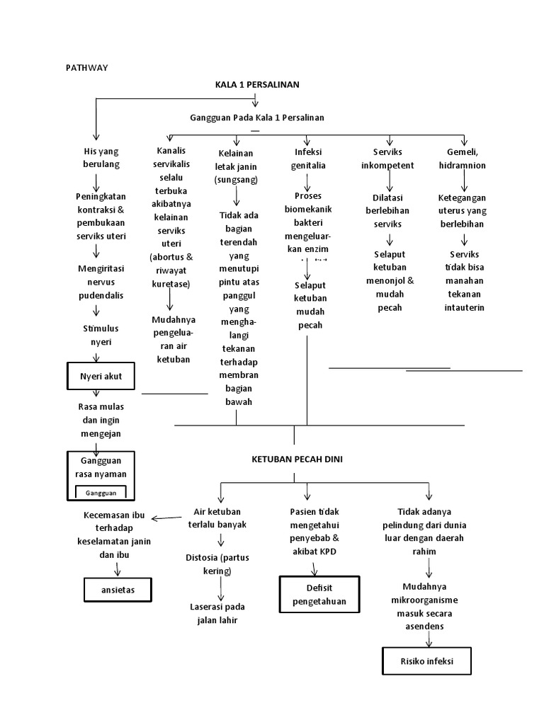 331900486-Pathway-Kpd Arin | PDF