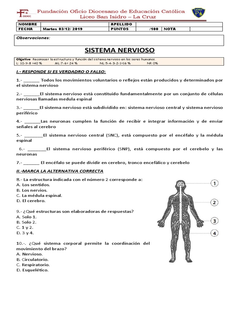Prueba Sist. Nervioso 2019 | PDF | Sistema nervioso | Sistema nervioso ... Prueba Sist. Nervioso 2019 | PDF | Sistema nervioso | Sistema nervioso ...