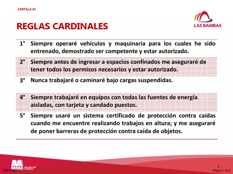 Cartilla - 01 - Reglas - Cardinales Bambas | PDF