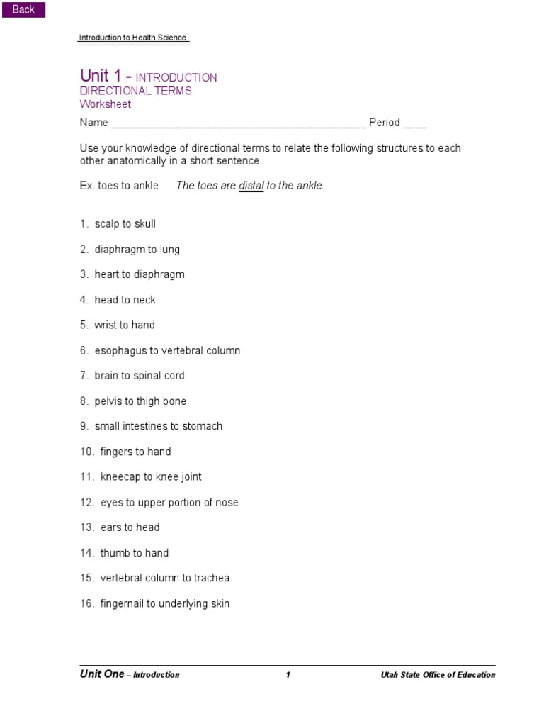 Anatomical Directional Terms Worksheet | PDF | Science & Mathematics