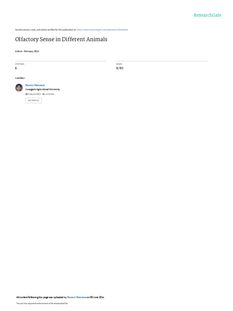 Olfactory Senses in Different Animals | PDF | Olfaction | Odor