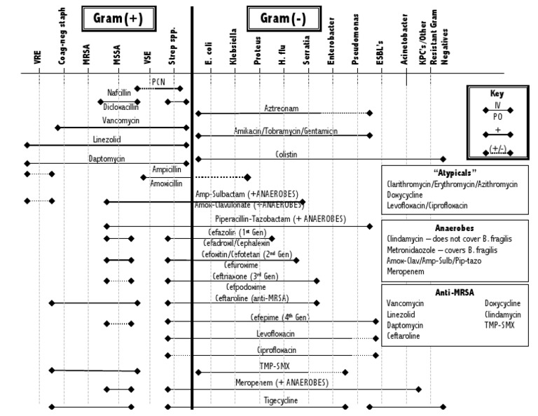 Antibiotic Sensitivity Chart | PDF | Beta Lactamase | Biocides