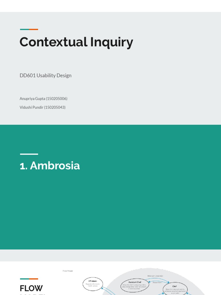 Contextual Inquiry Assignment | PDF