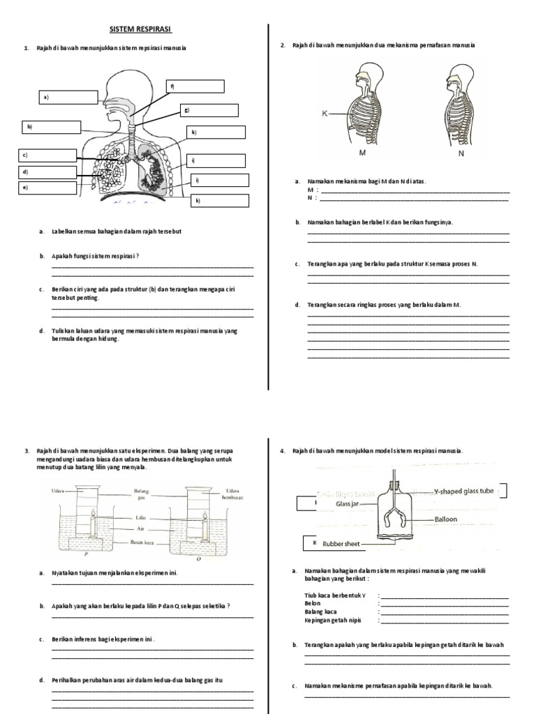 Latihan Sistem Respirasi Tingkatan 3 | PDF