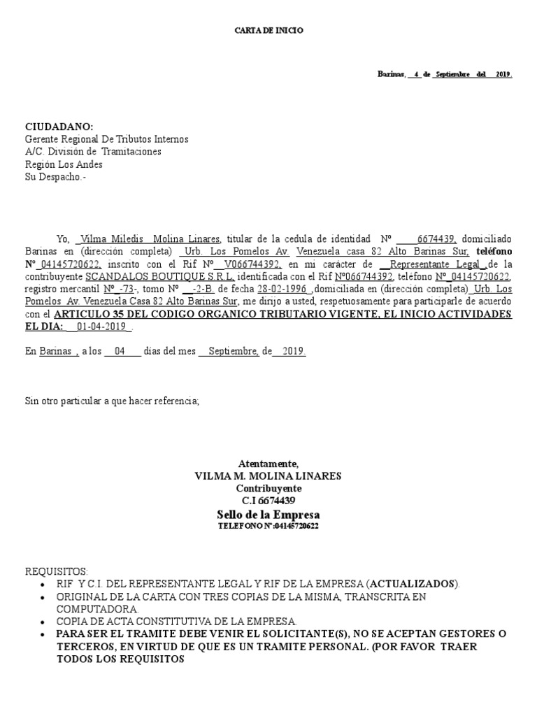 Carta de Inicio | PDF