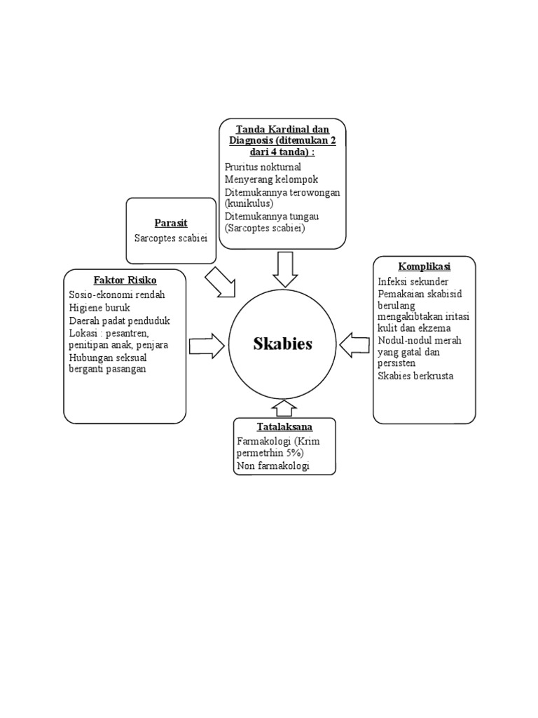 Kerangka Teori Skabies | PDF