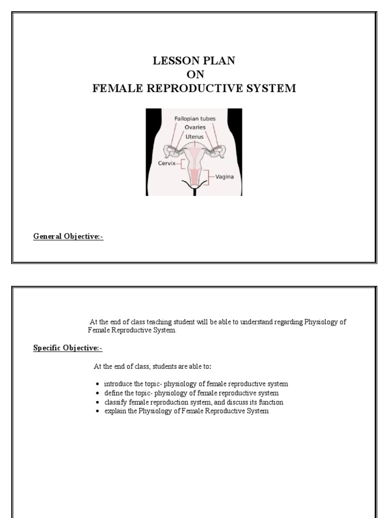 Lesson Plan On Female Reproductive System | PDF | Menstrual Cycle | Ovary