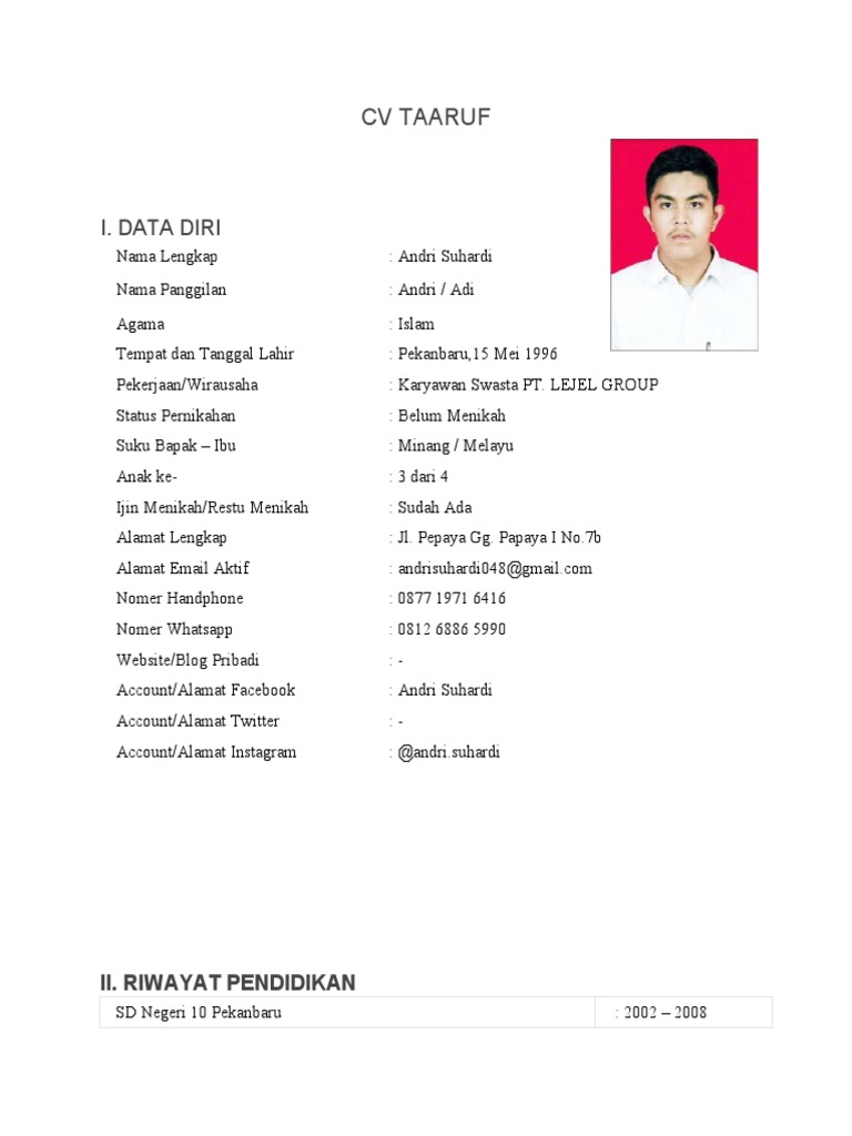 CV Full Andri | PDF