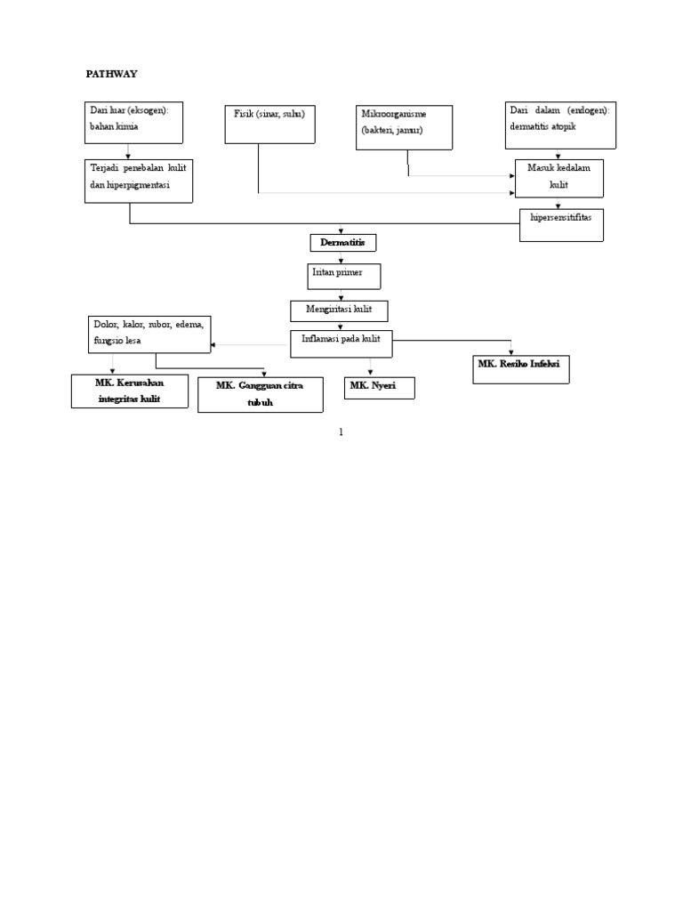 Pathway Dermatitis | PDF