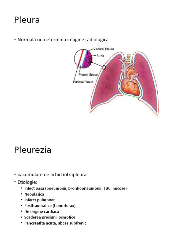 patologie pleurala.ppt