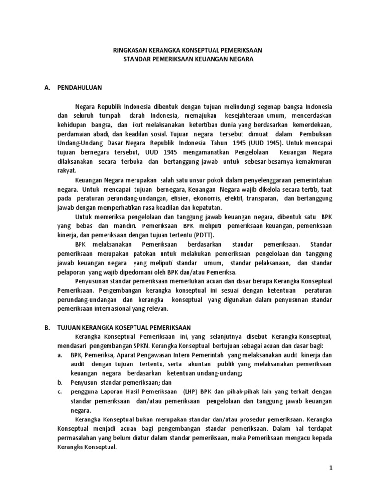 Tugas Individu - Ringkasan Kerangka Konseptual Dan Standar Umum SPKN | PDF