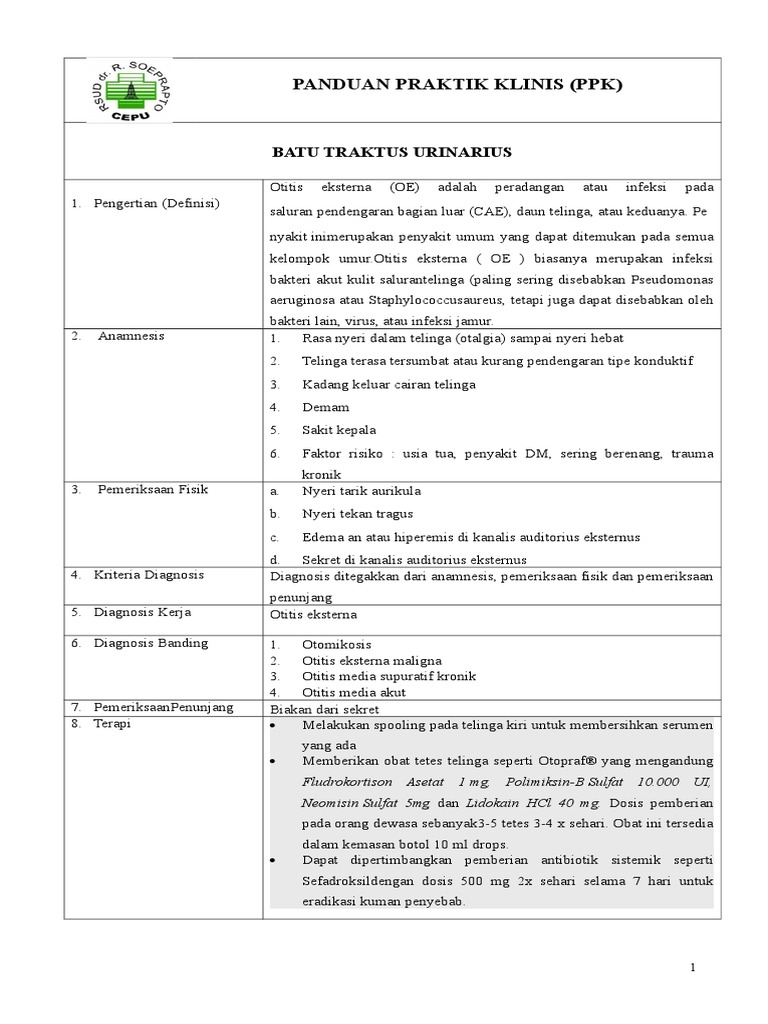 PPK Otitis Eksterna | PDF