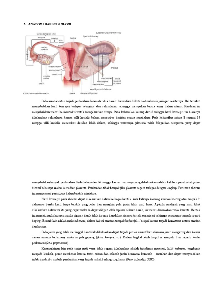 LP Abortus 2020 | PDF