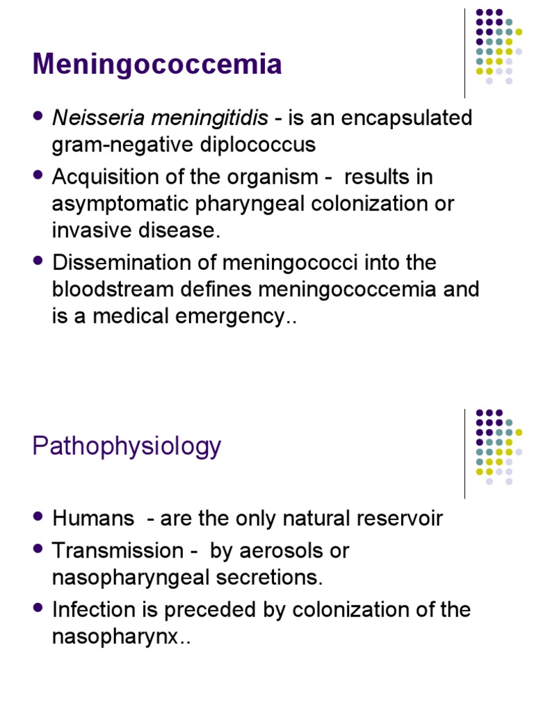 Meningococcemia: Neisseria Meningitidis - Is An Encapsulated | PDF ...