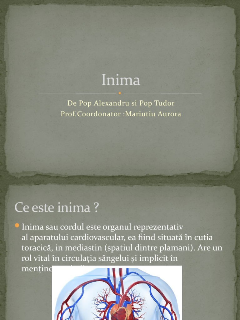 Inima Final | PDF