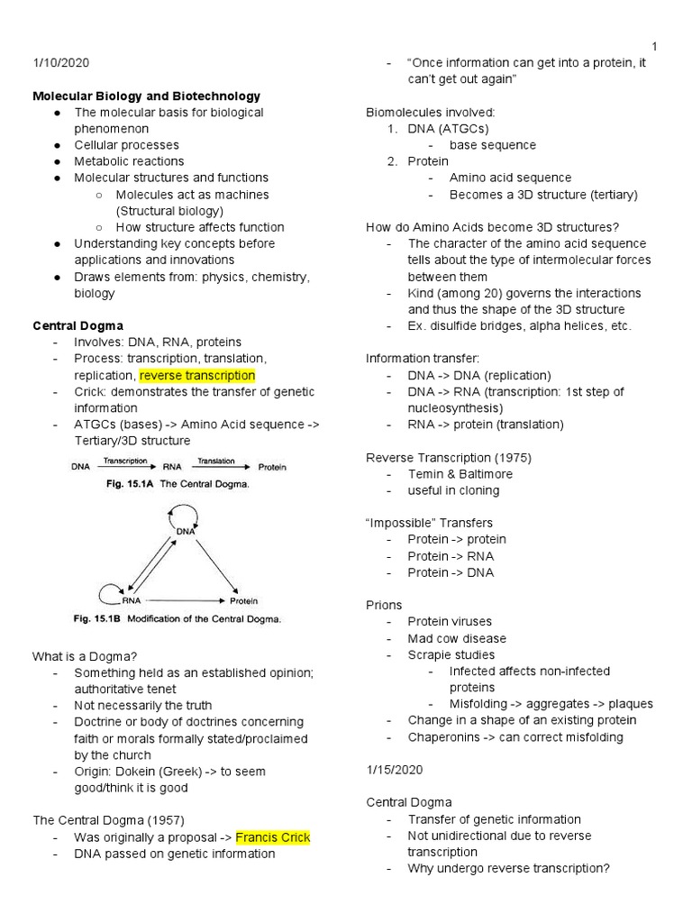 Molecular Biology Lecture Notes | PDF | Dna | Rna
