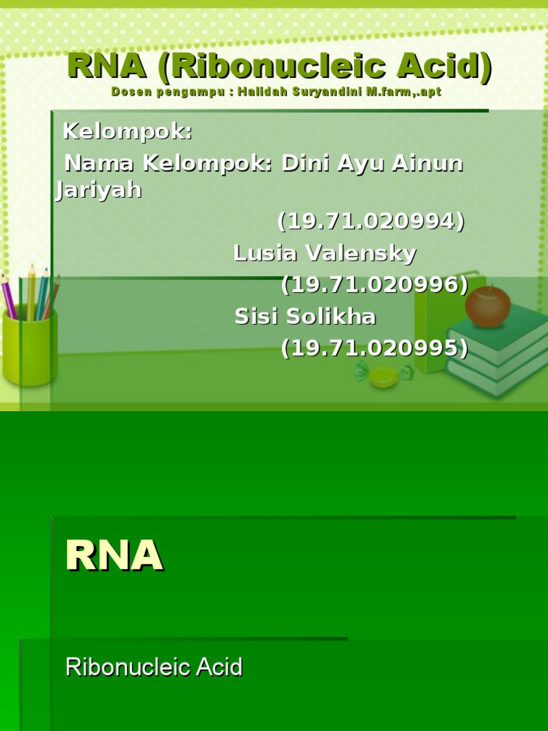 RNA PowerPoint | PDF