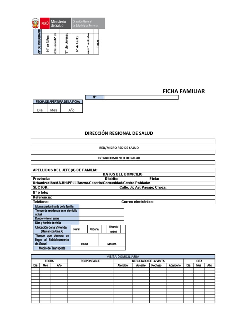 Ficha Familiar | PDF | Familia | Adultos