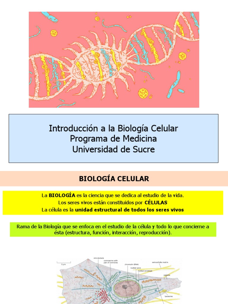 1-2. Historia y Propiedades Básicas de Las Células PDF | PDF | Biología Celular) | Adn