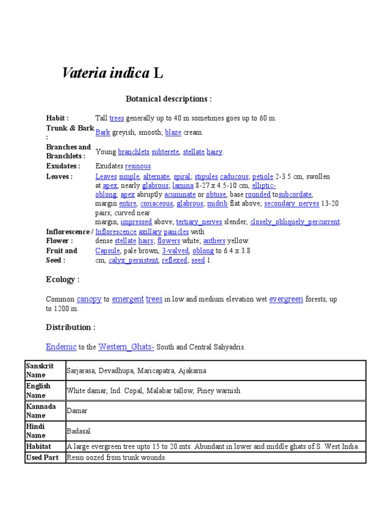 Vateria Indica L: Botanical Descriptions | PDF