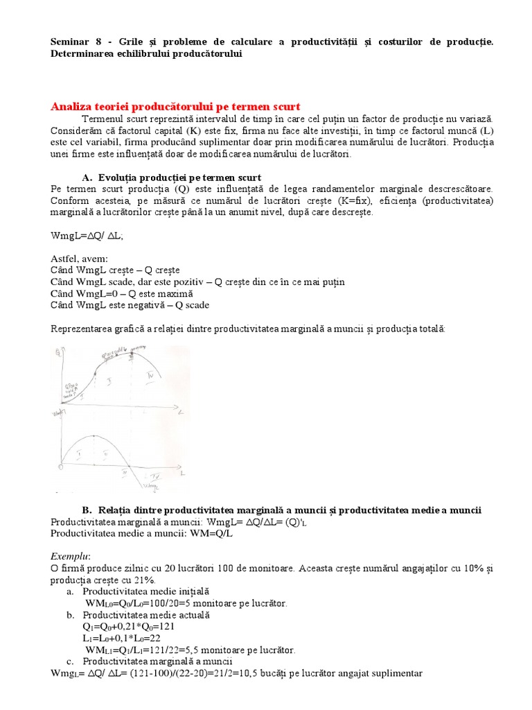Seminar 8 Productivitate Costurile de Producc5a3ie Echilib Prod PDF | PDF